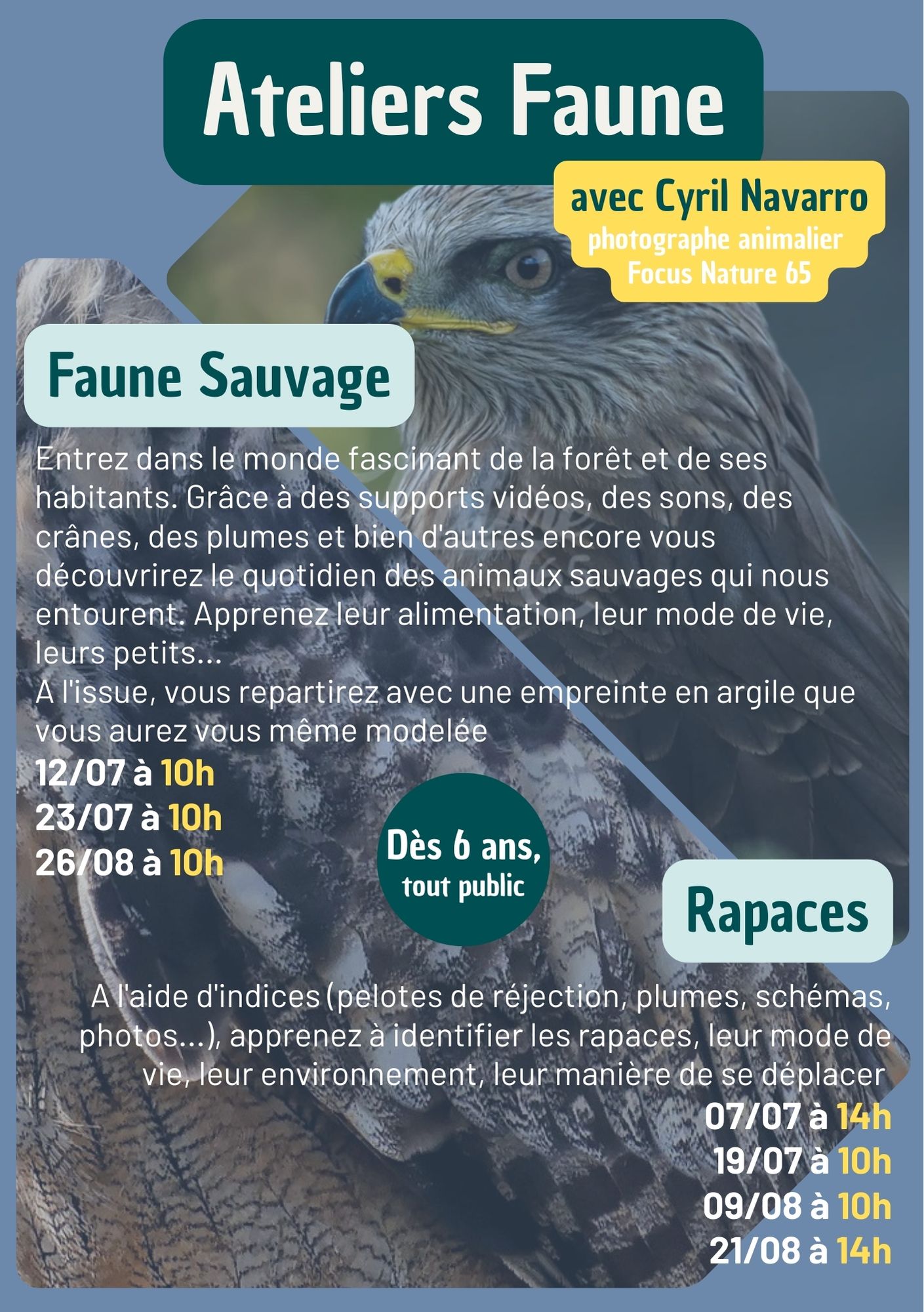 Faune sauvage - Lundi 26 août 2024 - Région Occitanie / Pyrénées ...