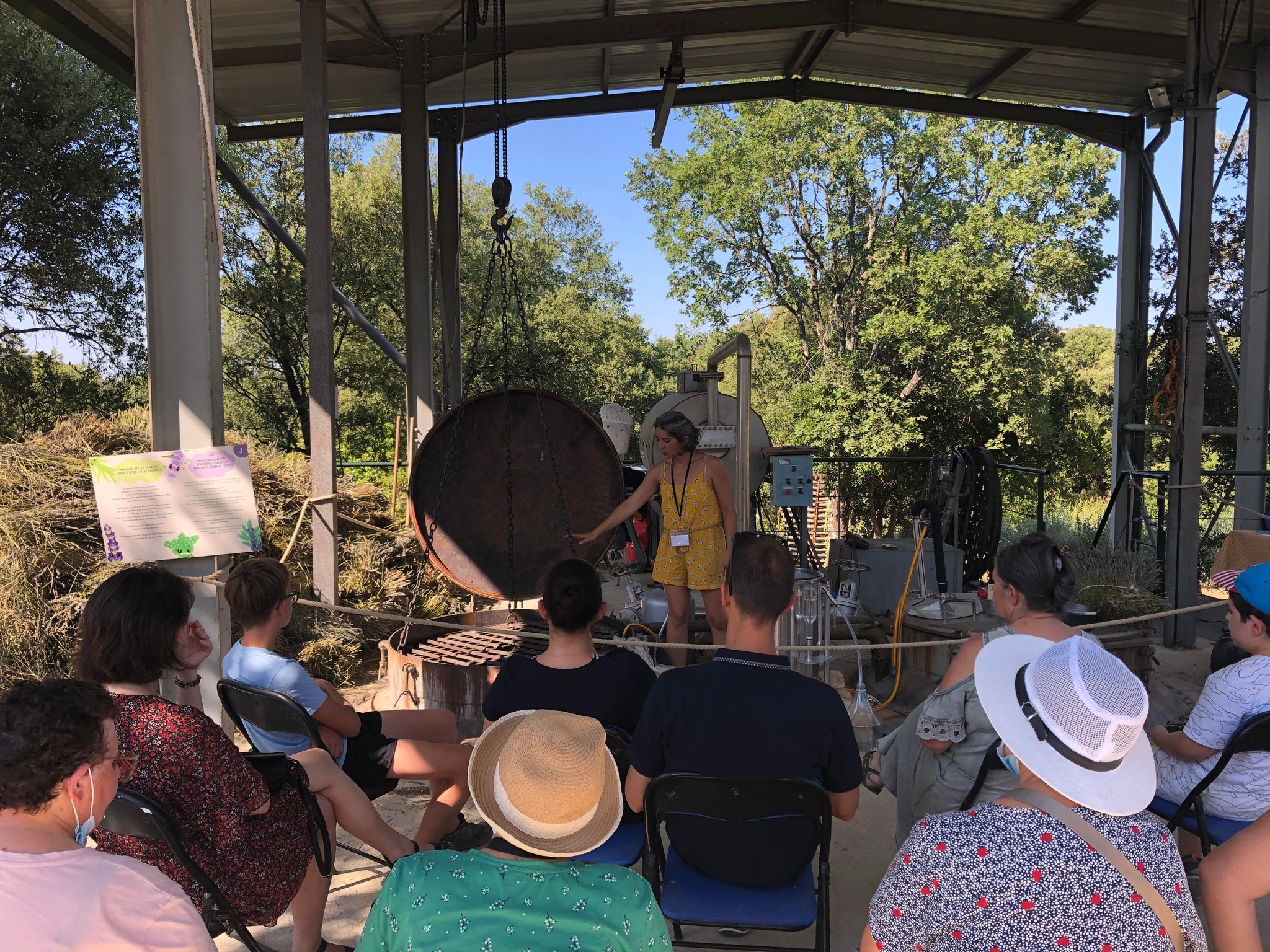 Jeudis de la Disti" - Du 13 juillet au 24 août 2023 - Région Occitanie ...