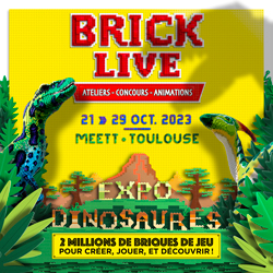 BRICKLIVE - Du 21 au 29 octobre 2023 - Région Occitanie / Pyrénées ...