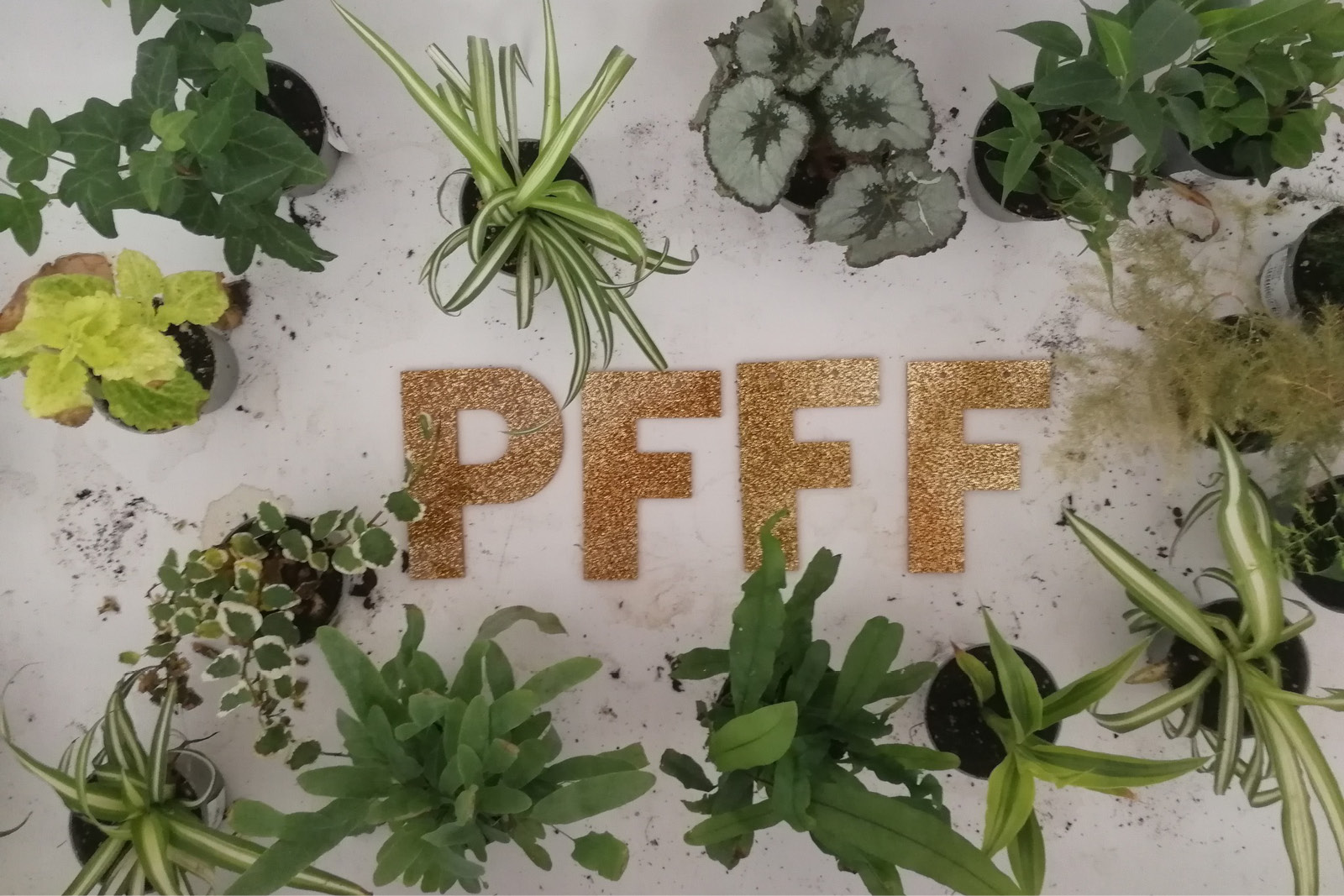 Collectif Pfff - Matrice Pfff - Du 7 au 21 avril 2023 - Région ...