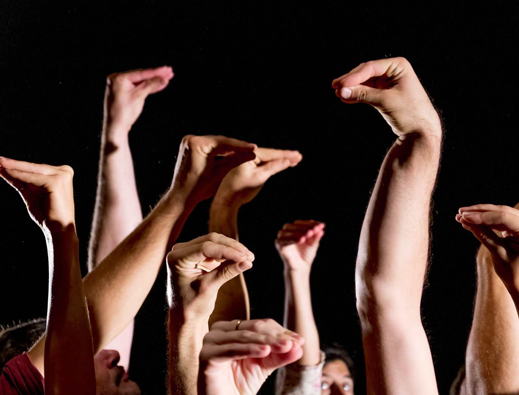 Le Complexe de l'Autruche - Collectif d'Equilibristes - Samedi 26 ...