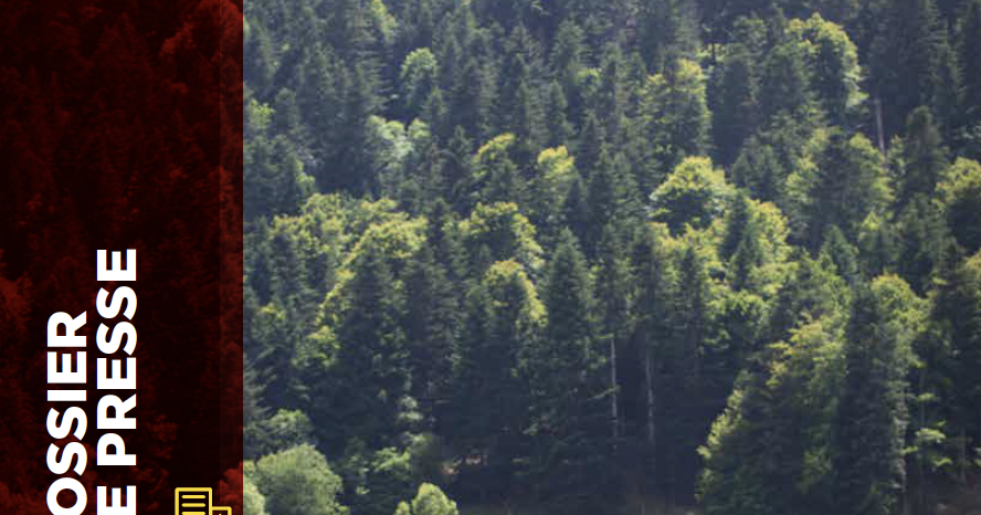 Dossier de Presse - Crise du logement : la Région Occitanie amorce une ...